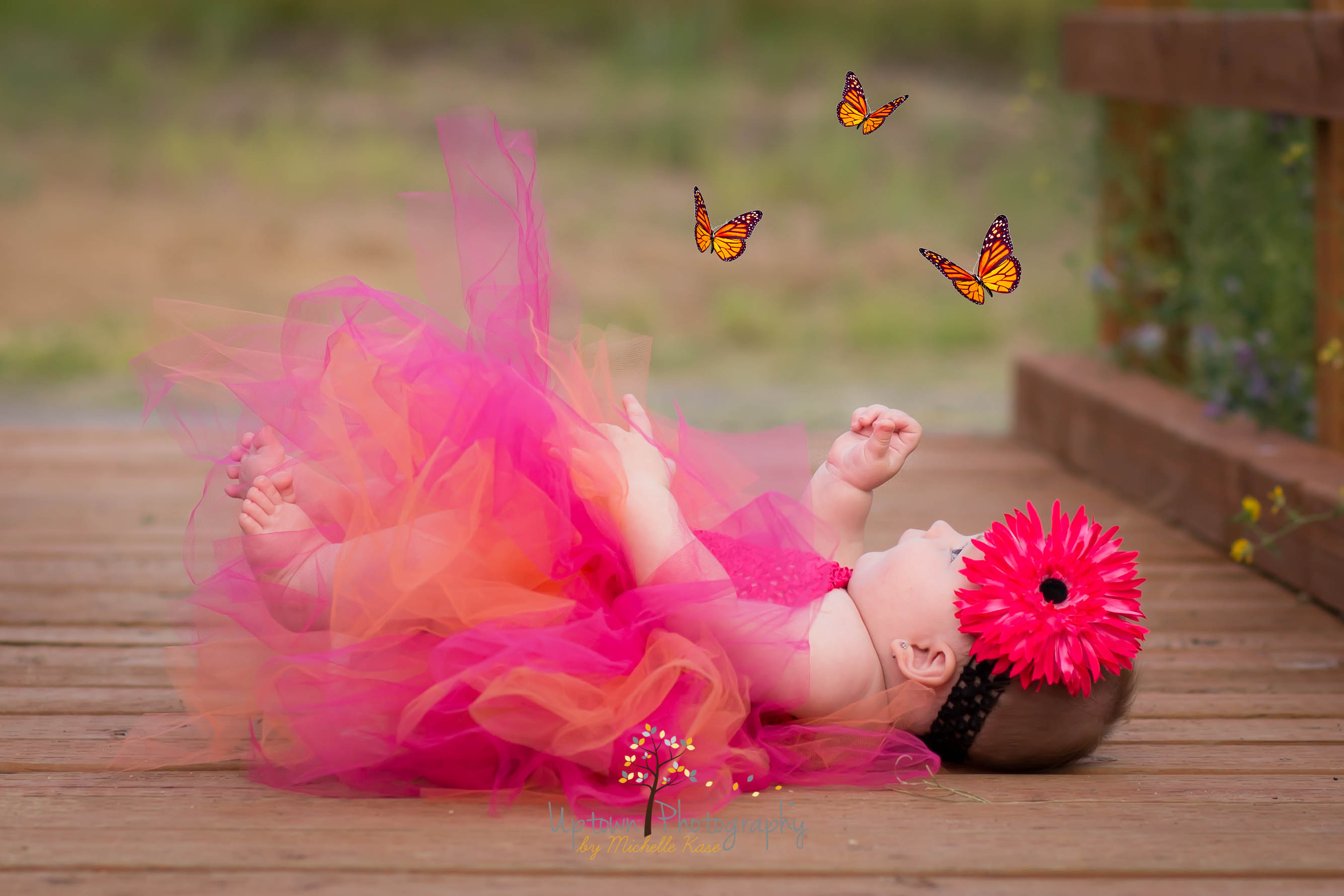 Outdoor Sessions with Babies? Yes!! | Photography by Michelle Kase